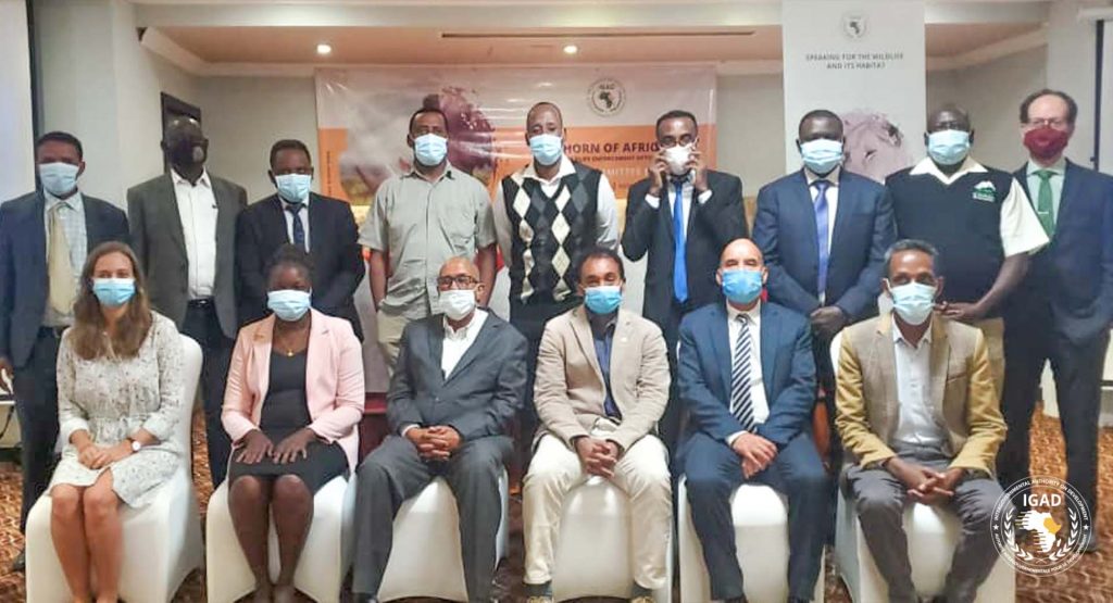 IGAD HAWEN Executive Committee Meeting