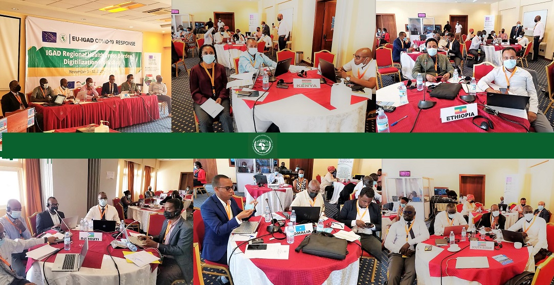 IGAD Regional Cross Border Health Digitalization Is Moving Forward