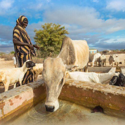 IGAD Resources | IGAD