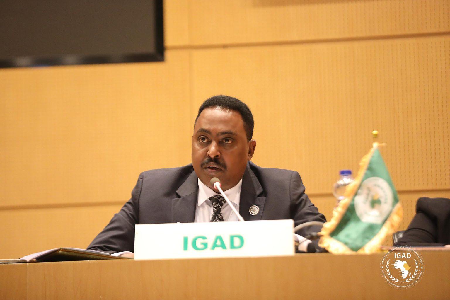 The IGAD ES Page - IGAD