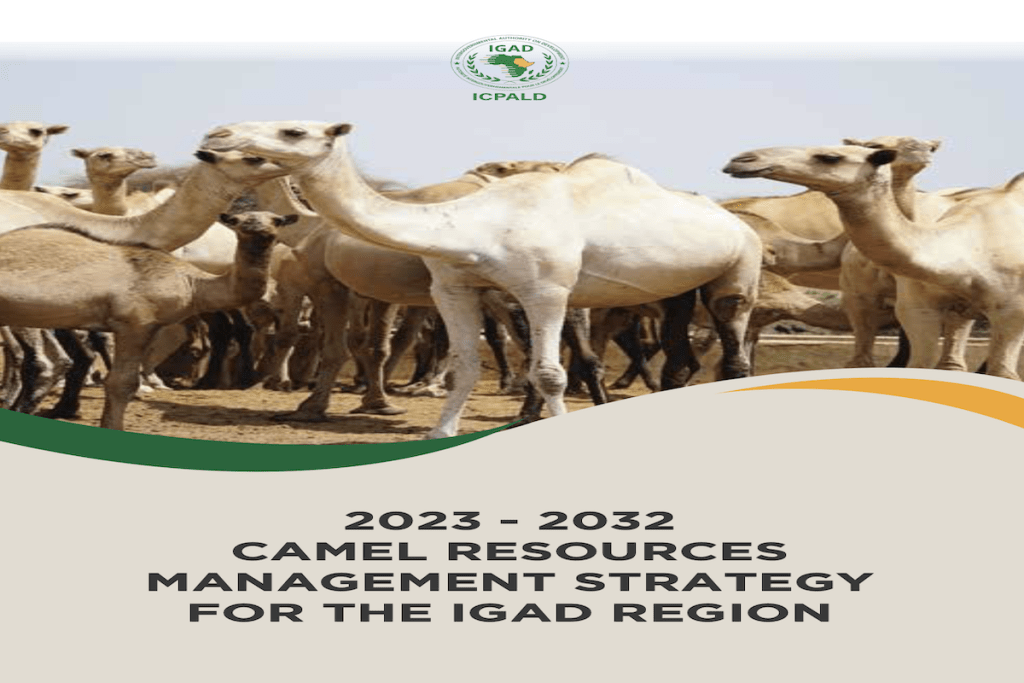 Camel Resources Management Strategy for the IGAD Region 2023 - 2032 - IGAD