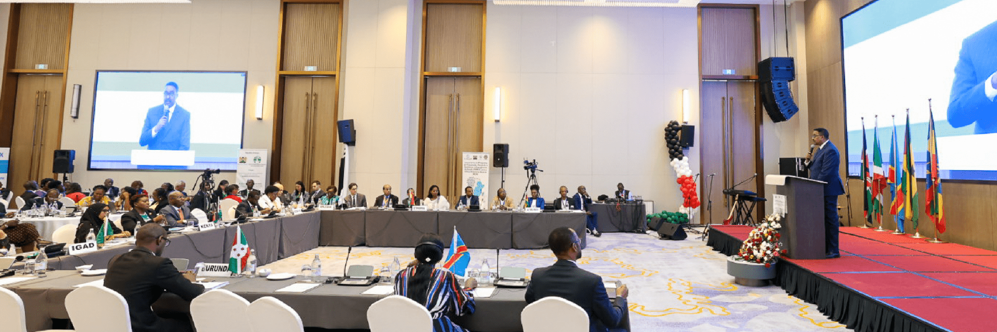 The IGAD ES Page - IGAD