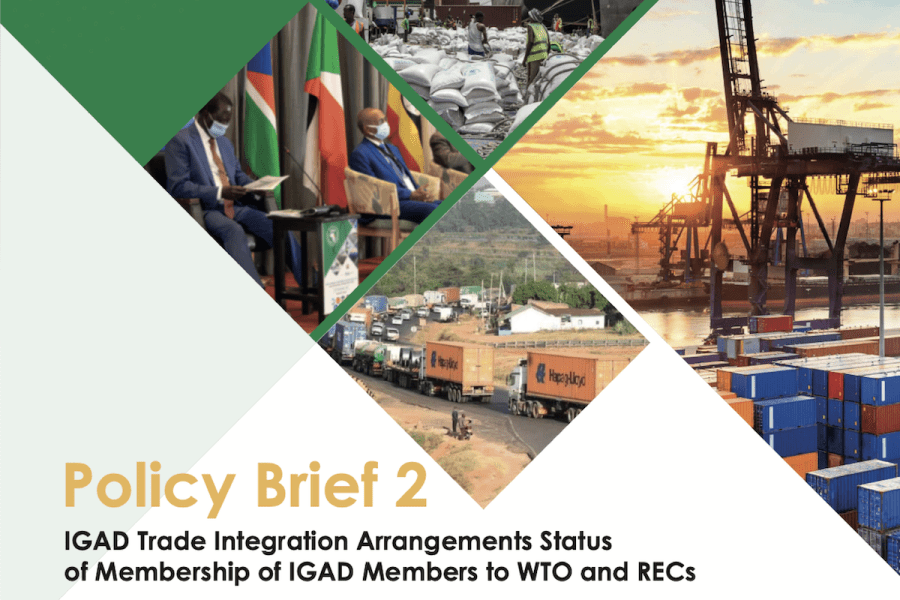 Policy Brief 2 - IGAD Trade Integration Arrangements Status of ...